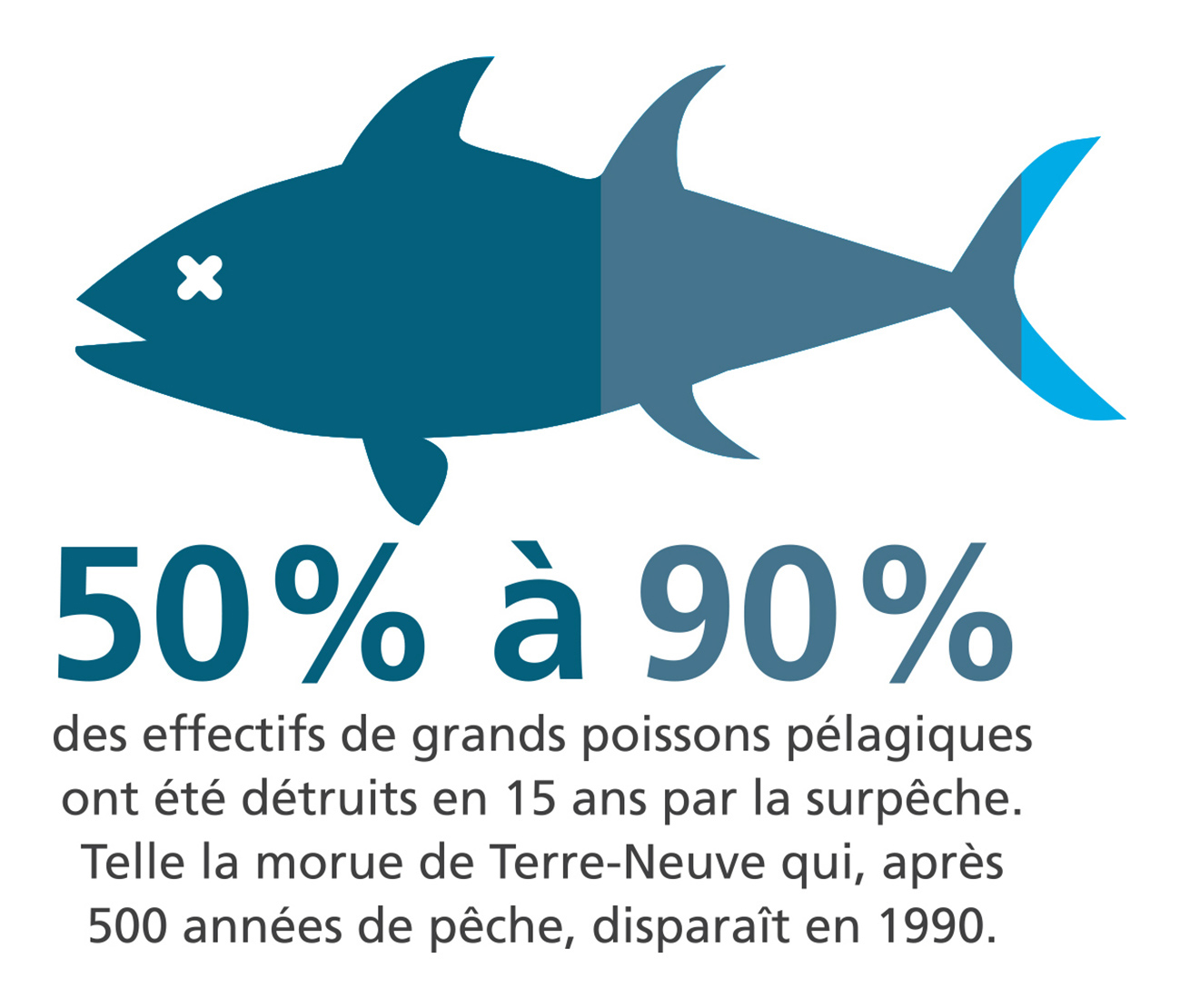 22 Les poissons pélagiques et la pêche