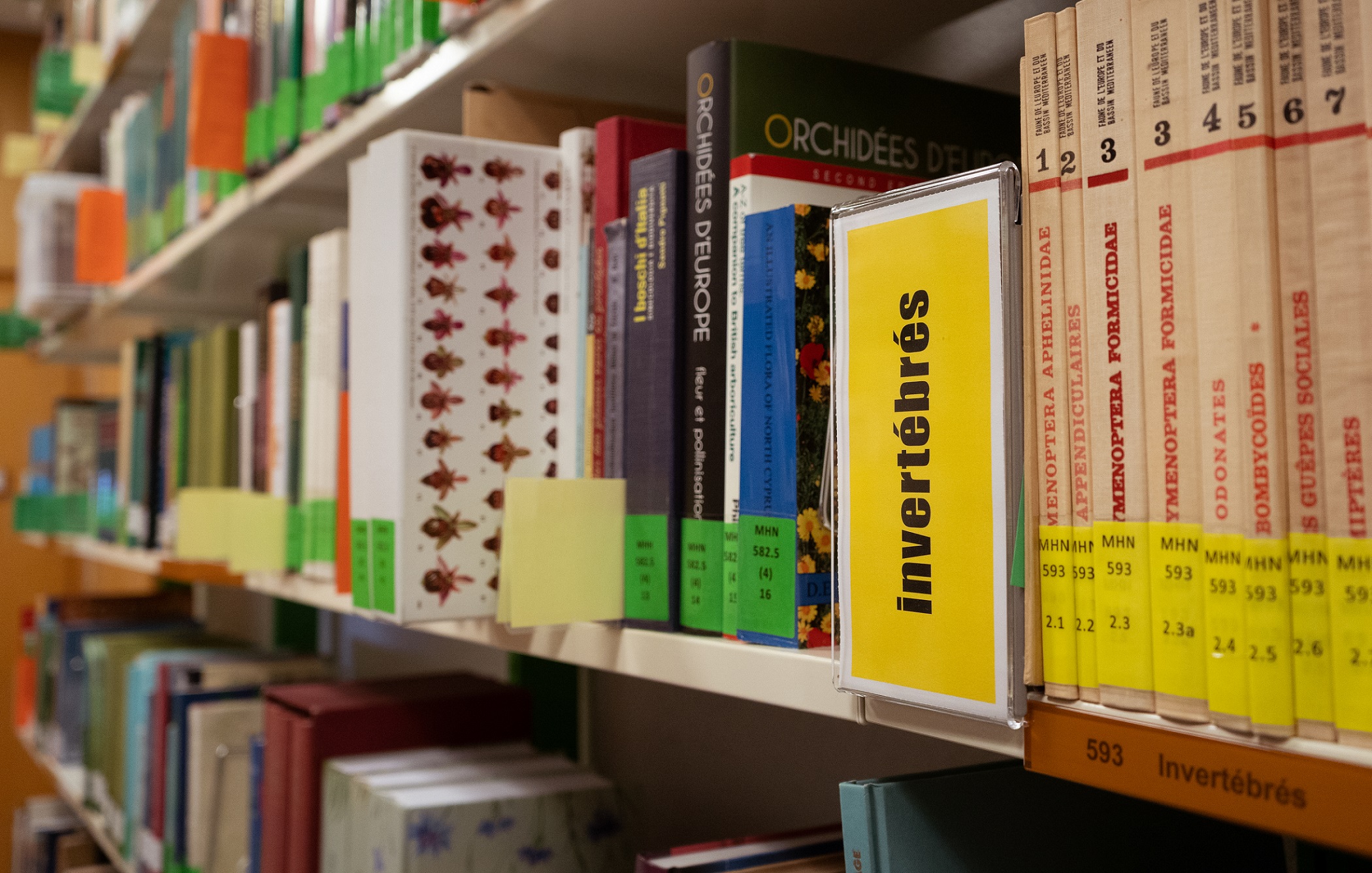 La bibliothèque | État de Fribourg